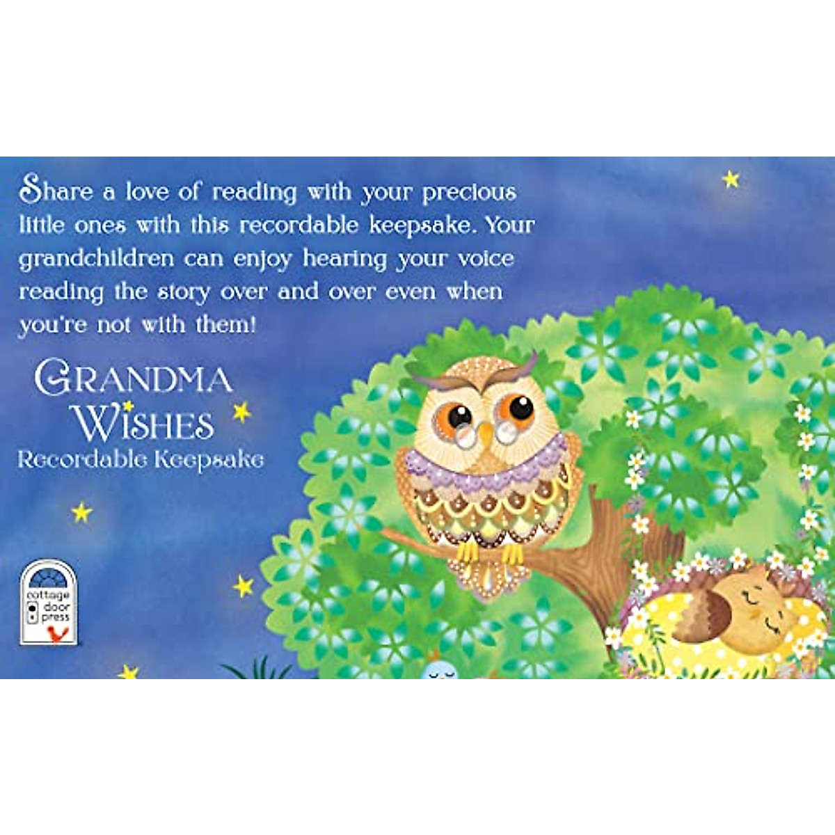 Grandma Wishes: Recordable Keepsake Board Book - Record Your Voice Reading the Story!