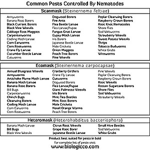 BioLogic All-Natural Pest Control Ecomask - 50 Million Steinernema carpocapsae (Sc) Beneficial Nematodes for Fleas, Armyworms, Cutworms and More - Pet, Plant and Family-Safe - USA Grown, Non-GMO