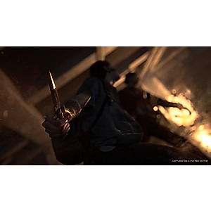 The Last of Us Part II - Standard Edition [PlayStation 4] (Uncut)