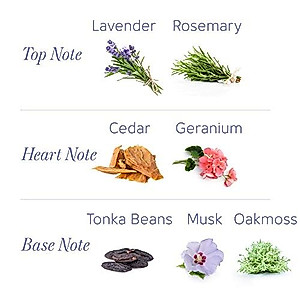 Yardley London English Lavender Perfumed Deodorizing Talc Talcum Powder 100gm, 3.5 Ounce