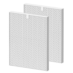 Fizerneer D360 Ture HEPA Replacement Filter Compatible with Winix D360 Air Purifier, Item Number 1712-0101-02, 2 Ture HEPA Filter Only