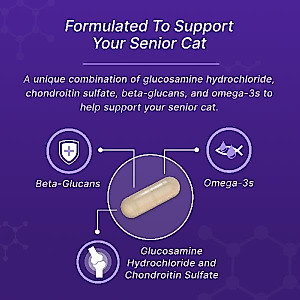 Nutramax Cosequin Senior Joint Health Supplement for Cats, 60 Sprinkle Capsules