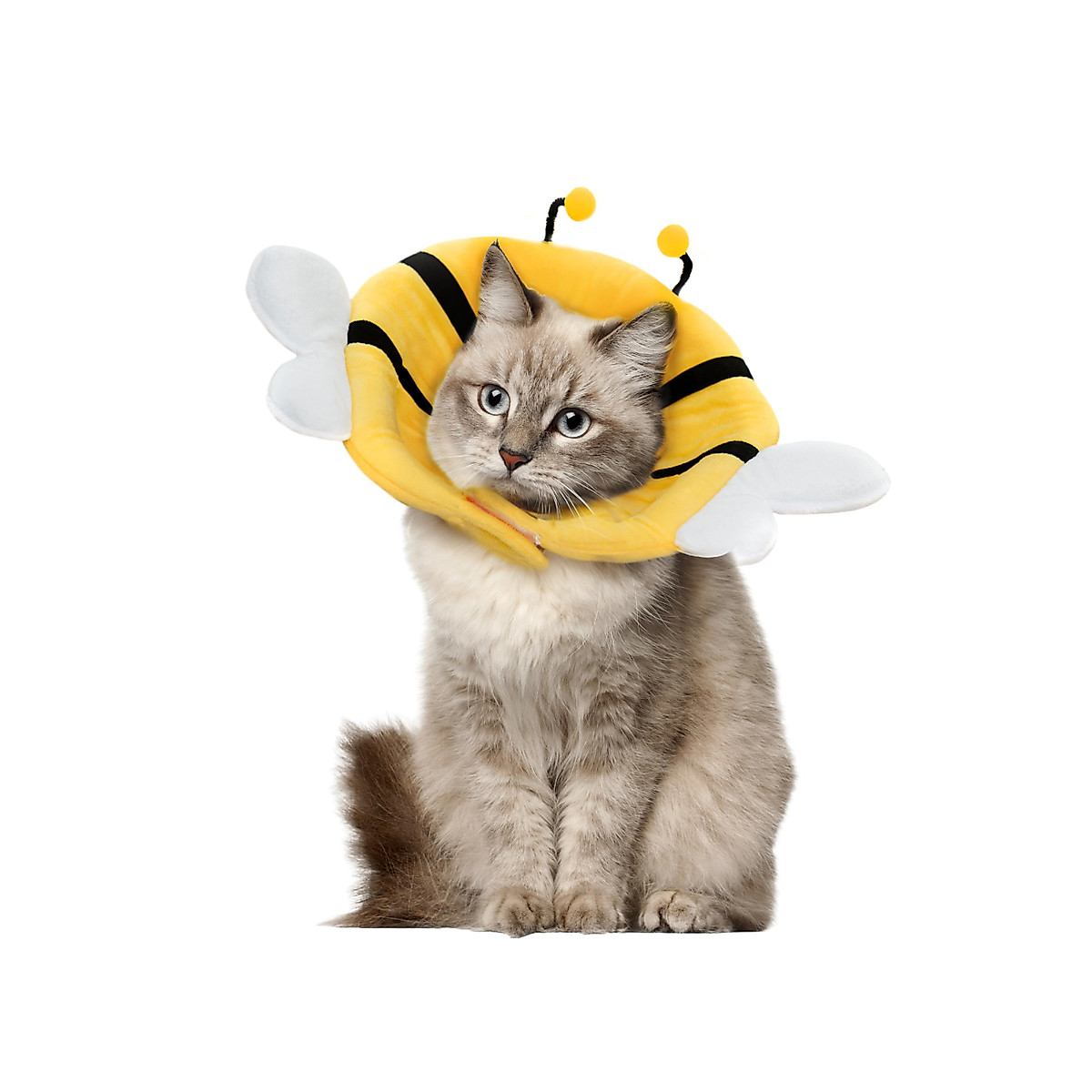 SkyReese - Soft Small Dog/Puppy/Cat Cone | Cute Bumblebee Cone for Small Dogs, Puppies & Cats After Surgery, Wound Care, Spay & Neuter | Dog Recovery Cones & Collars | 100% Polyester (Large)