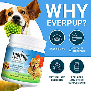 EverPup Dog Supplement, 720g – All-in-One Multivitamin with Glucosamine, Probiotics, Antioxidants for Joint, Immune & Digestive Support for All Ages