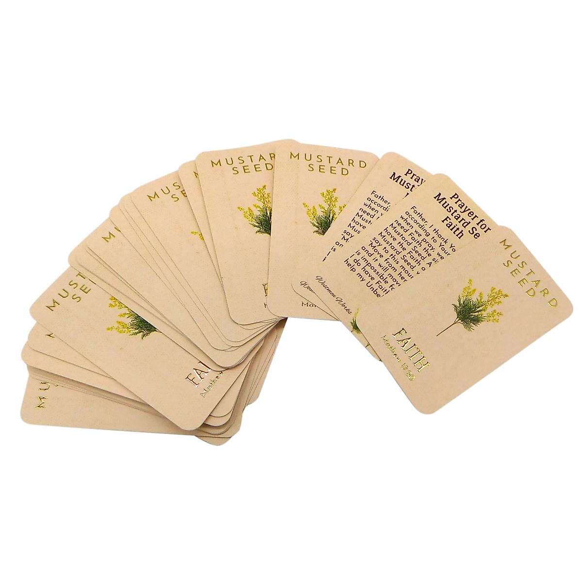Westmon Works Mustard Seed Holy Card Bulk Pack Bundle Matthew 17:20 Faith Prayer, Set of 25