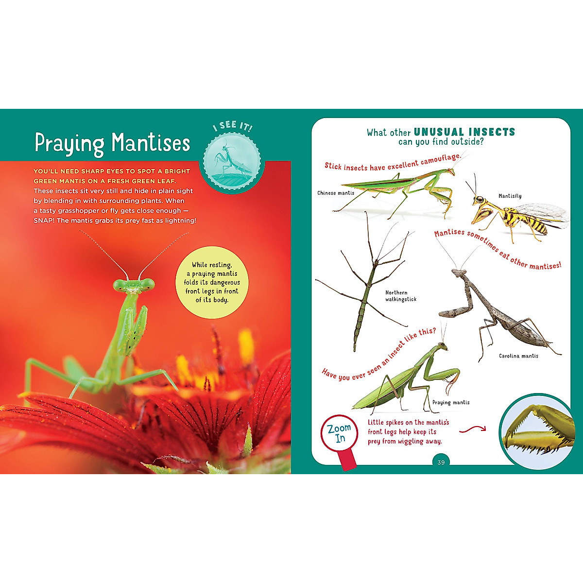 Backpack Explorer: Bug Hunt: What Will You Find?