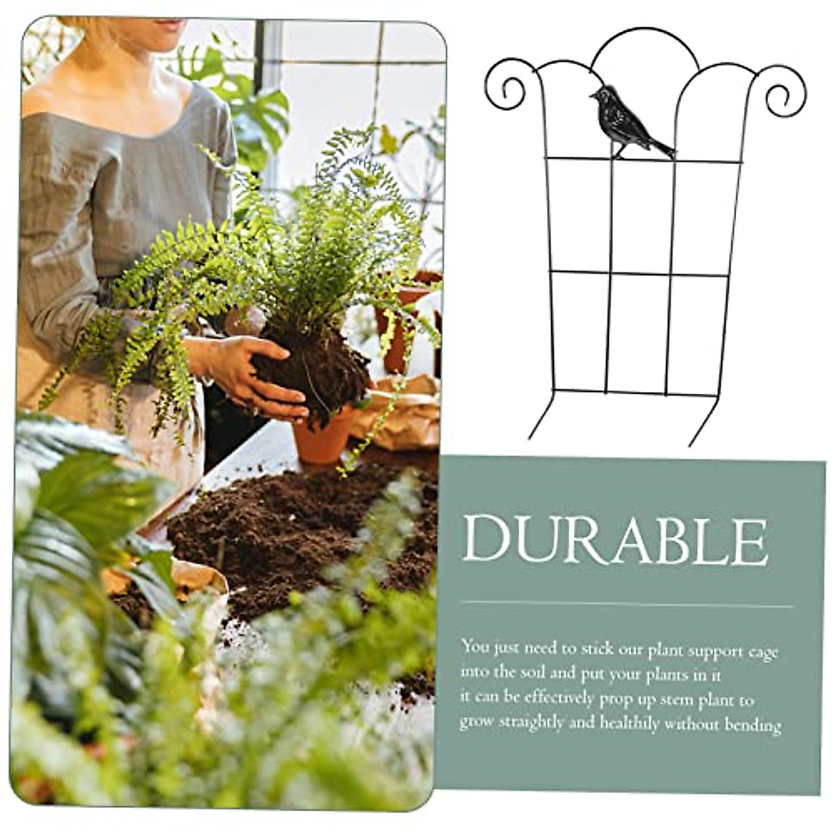 English Cucumbers 5pcs Plant Climbing Frame Orchid Plant Rose Plant Outdoor Fencing Indoor Trellis English Cucumbers Iron Green Plant Support Garden Fencing Plant Stake Support