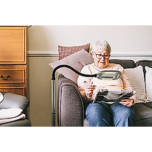 LIGHT IT! By Fulcrum, 20072-401 MultiFlex LED Floor Magnifier Lamp, Silver, Single pack