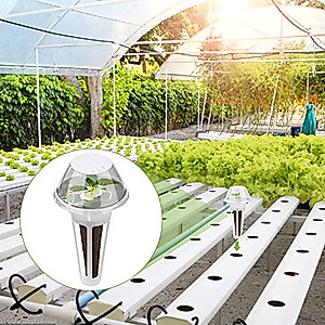 Growth Sponges Seed Pods Kit for Aero Garden Pods Hydroponics Sponge Plant Grow Sponges Seed Starter Pods with Grow Baskets Hydroponics Growing Seed Starter Kit for Seed Starting System (200 PCS)