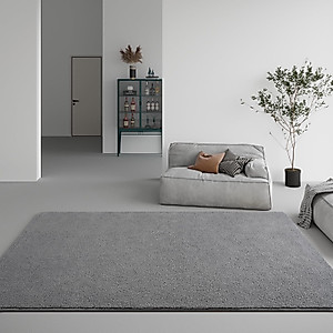 DweIke Modern Area Rugs for Bedroom Living Room, 4x6 ft Grey Thickened Memory-Foam Indoor Carpets, Minimalist Style Carpet Suitable for Boys Girls and Adults with Super Soft Touch, Washable, Grey