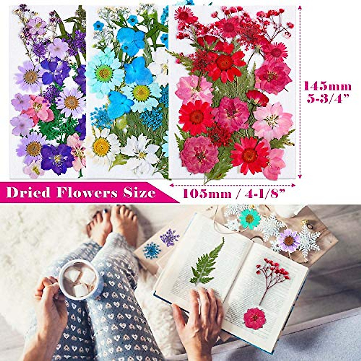 Thrilez 100Pcs Pressed Dried Flowers for Resin Molds, Natural Dried Flower Herbs kit for Scrapbooking Supplies Card Making Supplies Resin Jewelry Making Soap and Candle Making(Blue, Purple, Red)