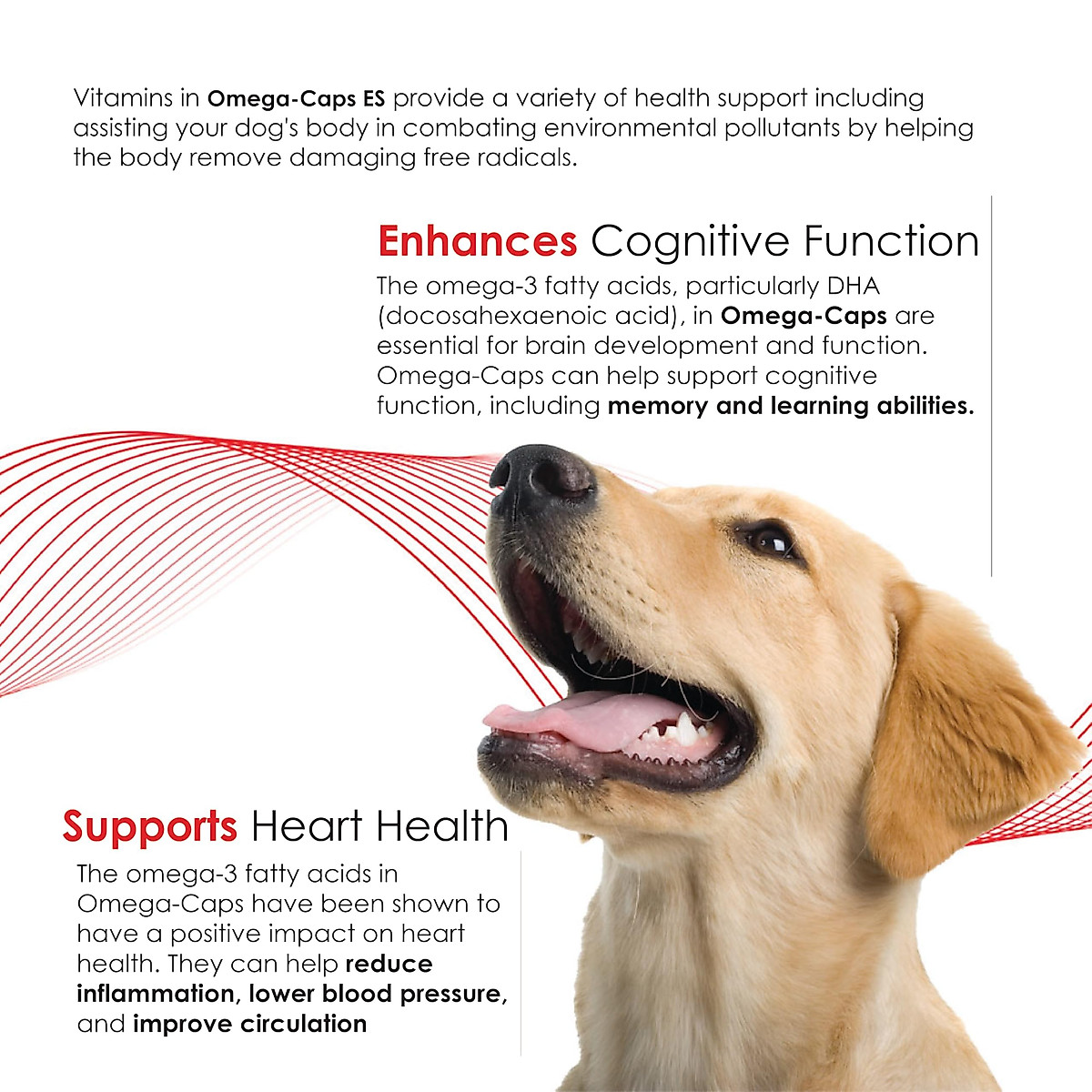 Omega-Caps Extra Strength for Large Breeds-Vet Formulated for Healthy Radiant Skin & Coat While Reducing Excess Shedding. Contains Omega 3 for Immune System Support, Easy to Dose, 60 Soft Gel Capsules