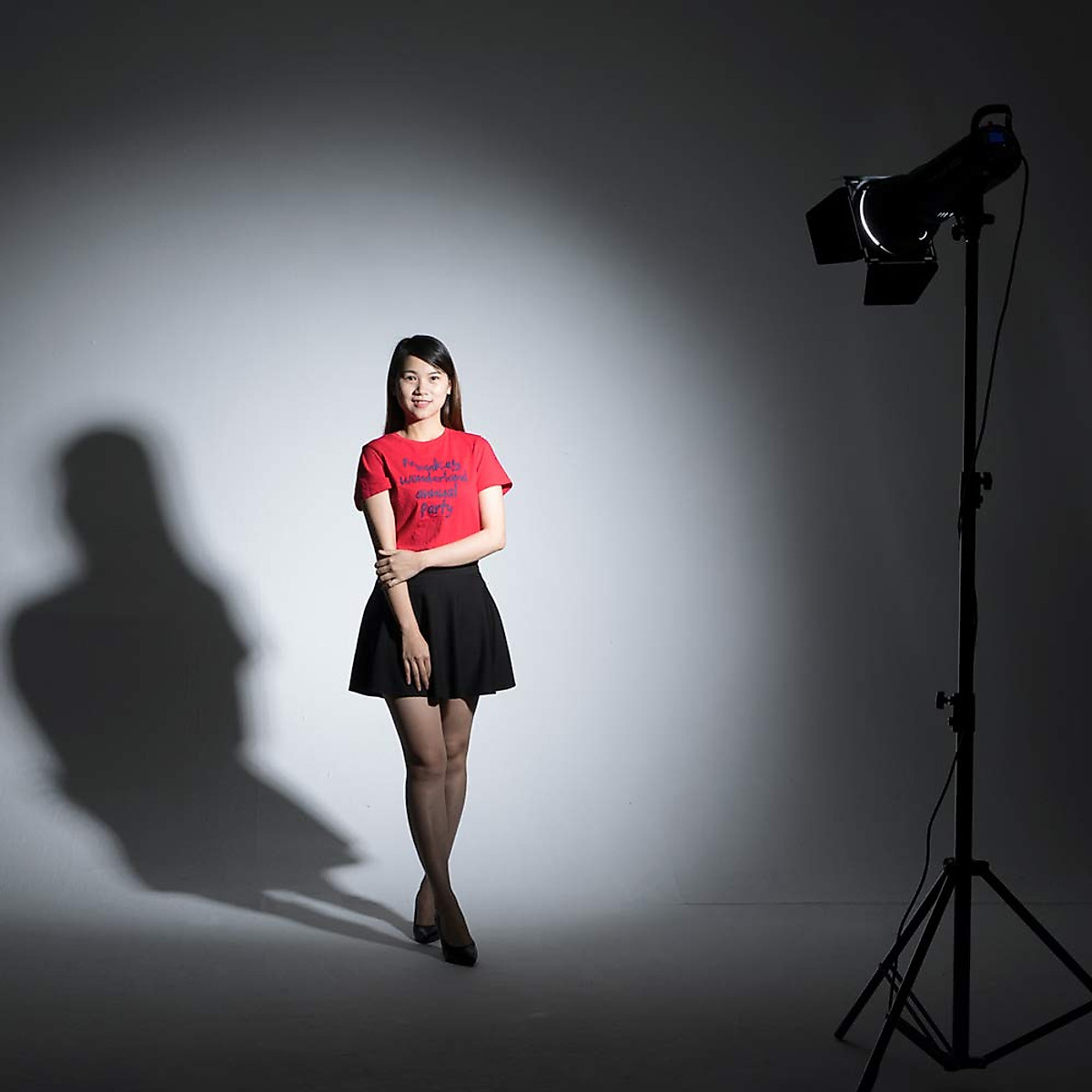 Godox 2 Pack SK400II 800Ws Photo Speedlite Studio Flash Strobe Monolight Bowens Mount Kit for Studio Shooting,Video Location and Portrait Photography with Softbox,Light Stand,Barn Door Kit,Reflector