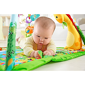 Fisher-Price Tiny Take-Alongs Gift Set, 6 Activity Toys For Baby To Rattle and Teethe