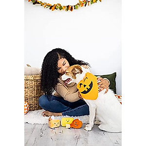 Pearhead Thanksgiving Dinner Dog Toys, Set of 3, Plush Dog Toys, Squeaky Dog Toy, Fall Pet Toys