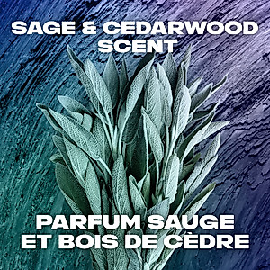 AXE 2 in 1 Shampoo and Conditioner Apollo 16 oz