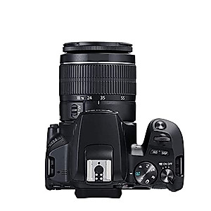 Camera Camera EOS 250D DSLR Digital Camera with EF-S 18-55mm F4-F5.6 STM Lens Digital Camera (Color : EOS 250D)