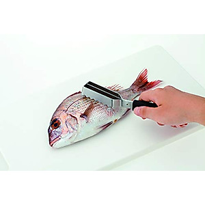 Endo Shoji TKG BKTM601 Kitchen Tool Scale Remover, Handle, PP, Metal Parts, Stainless Steel