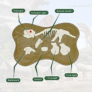 Hiitytin Remote Control Dinosaur Toys for Kids, Raptor Toy Velociraptor Dinosaur Toy with Light Up & Roaring Sound, 2.4G RC Realistic Walking Dino Toy Gifts for Kids Ages 3-12 Years Old (Green)