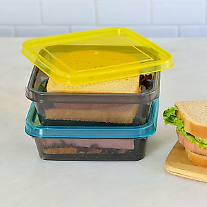 Youngever 3 Pack Sandwich Containers for Lunch Box, Reusable Food Storage Containers, Meal Prep Containers (Single Sandwich 20 Ounce)