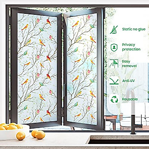 Viseeko Stained Glass Window Film: Bird Window Privacy Film Non-Adhesive Window Clings Room Decor Frosted Window Decals UV Blocker Removable for Bathroom Kids Study Room