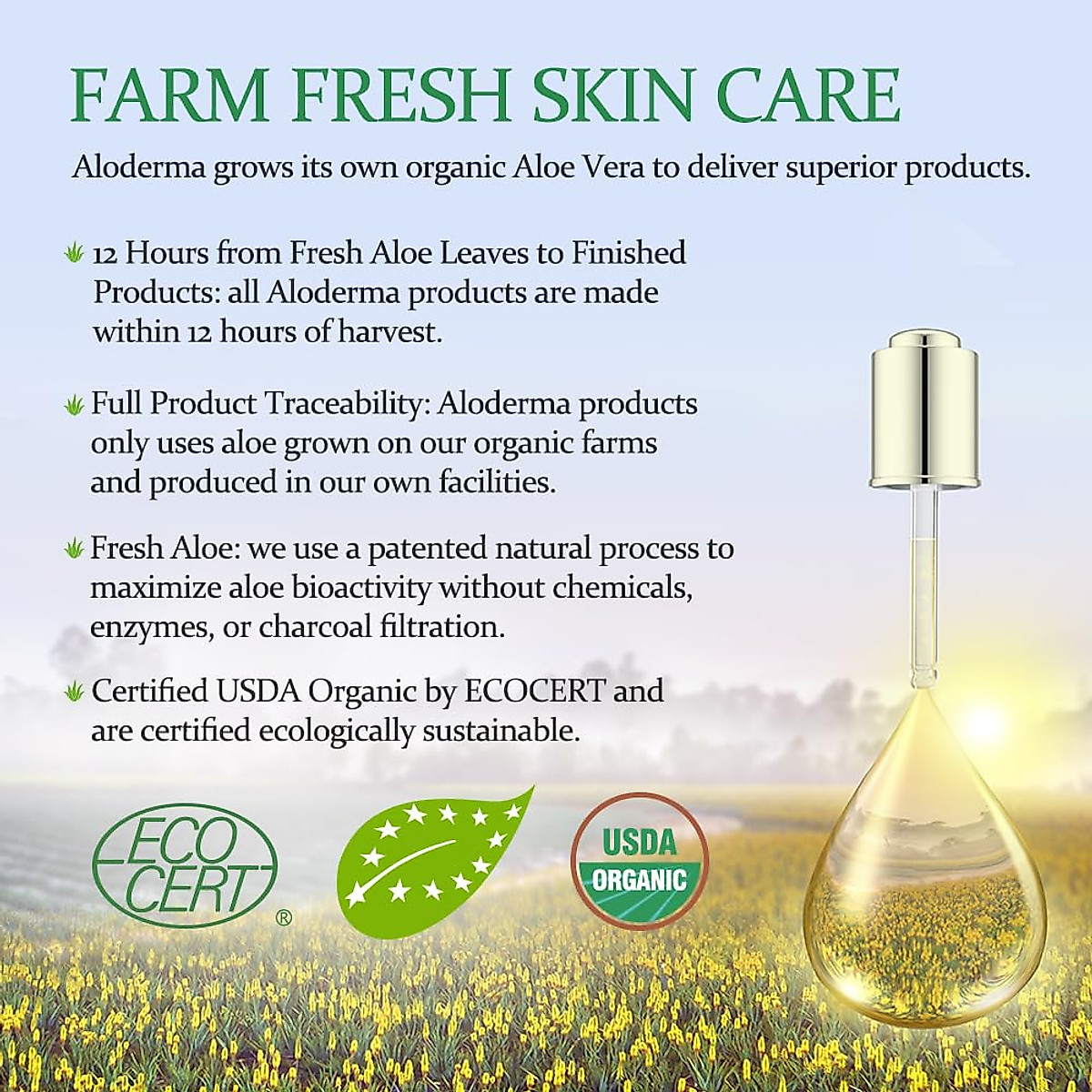 Aloderma Fresh Aloe Vera Face Hydrator Made with 99.8% Organic Aloe Vera within 12 Hours of Harvest - No Thickeners Great for Acne Prone & Sensitive Skin Repair, Scalp, & Hair 240ml