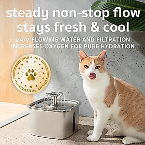 Veken Innovation Award Winner Stainless Steel Cat Water Fountain, 95oz/2.8L Automatic Pet Fountain Dog Water Dispenser with Replacement Filters & Silicone Mat for Cats, Dogs, Multiple Pets (Silver)