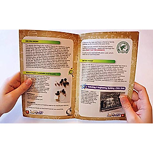 Club SciKidz STEM Box Rainforest Rescue