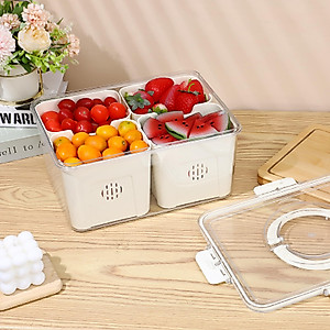 Dualshine Airtight Fruit Storage Containers for Fridge with lid and Handle,4 Removable Colanders,Food Storage Container for Fruit, Vegetables,Fresh Produce Saver,Great Refrigerator Organizer Bins