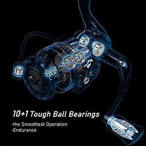 Cadence Spinning Reel-Elate 10+1 BB Light Weight & Durable -Stainless Steel Main Shaft, Die-Casting Handle&Double Anodized Spool-Ultra Smooth Powerful Reel with Graphite Body &Felt Washer