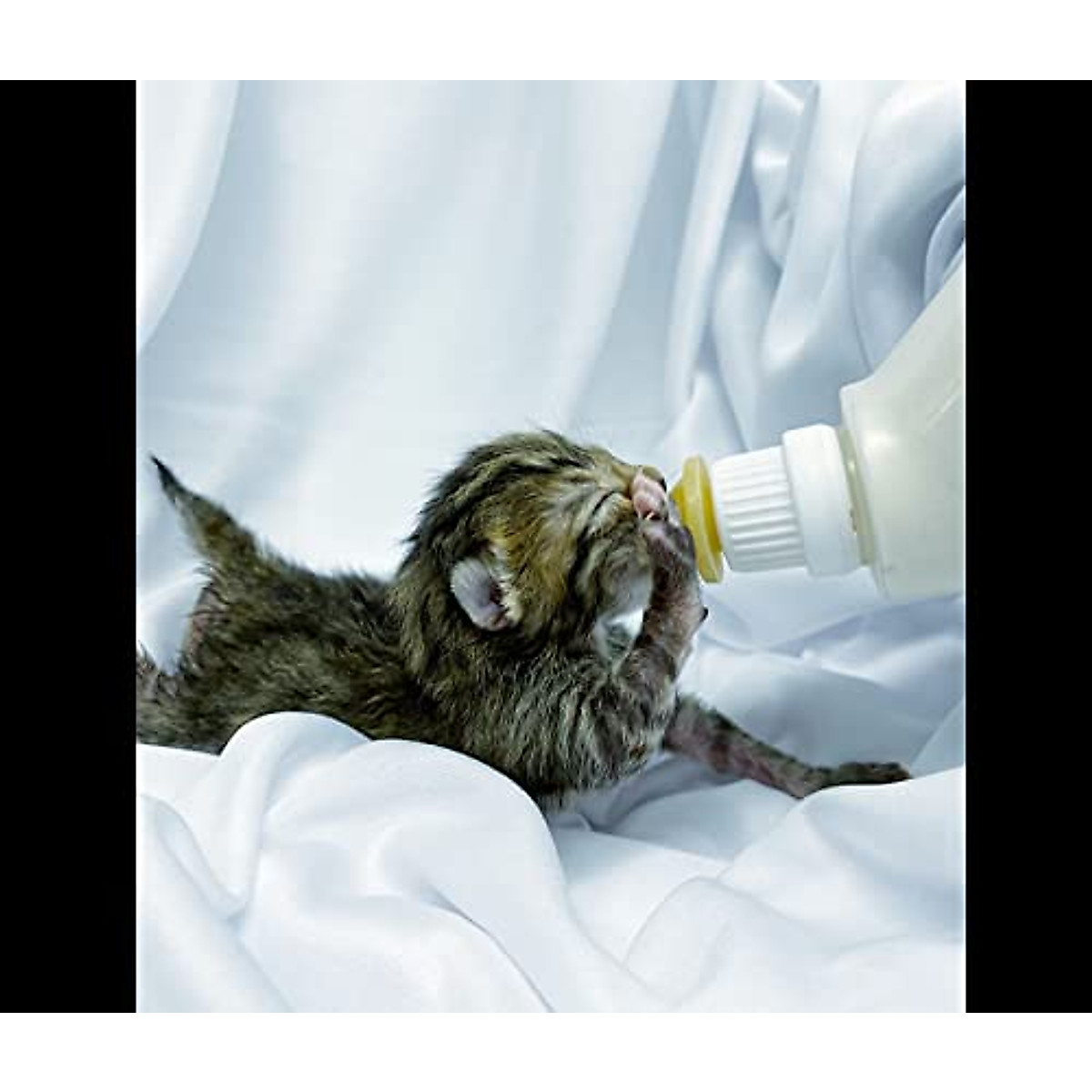 Gufastoe Pet Feeding Silicone Nipple with Curved Bottle and Syringes for Puppy Dog Cat or Other Pets (Pink)