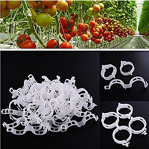 KINGLAKE Plant Support Garden Clips,Tomato Vine Clips,Tomato Trellis Clips 200 Pcs for Vine Vegetables Tomato to Grow Upright and Makes Plants Healthier