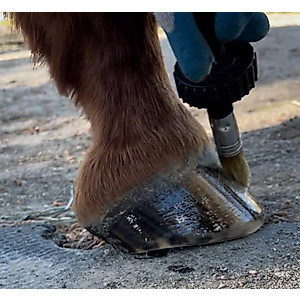 Pure Sole Hoof Oil - All Natural Hoof Conditioner for Horses with Hoof Oil Brush Applicator - Strengthens, Moisturizes and Treats Hoof Problems - 16 fl oz.