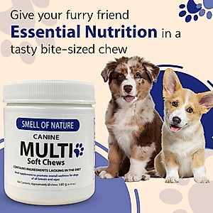 Smell of Nature Multi Dog Supplement Chews with Probiotics, Mushroom Extract & Turmeric - Soft Chewable Supplement for Overall Health & Wellness - Made with Superfoods - 60 Chews