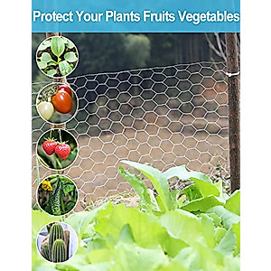 TOYPOPOR Chicken Wire 16'' x 396''(40cm x 10m), Outdoor Anti-Rust Hexagonal Galvanized Chicken Wire Mesh Fencing to Protect Gardening Plants Vegetables Flowers Fruits From Dogs Rabbits Squirrels, 32ft