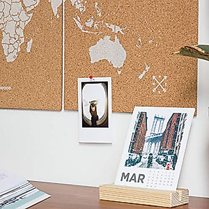 Push Pin Travel Map Kit Includes: Cork World Travel Map, World Flags, Monument and Food Stickers, for Travelers (White, Puzzle M Premium)