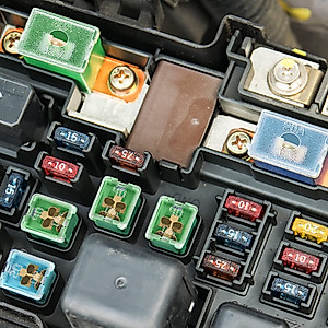 MuHize Shaped Assorted Fuses - Upgraded Tall/Standard Profile Automotive Box Shaped Fuse Kit, Fuse Female Assortment 20A 30A 40A 50A 60A (Each 6) for Ford Chevy, Cars and SUVs