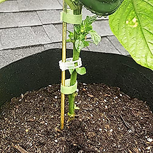 Yowlieu 20 Pcs Natural Bamboo Stakes + 1 Roll Garden Ties, 18 Inches Bamboo Sticks Gardening Plant Support Stakes for Indoor Plants, Tomato, Potted Plants