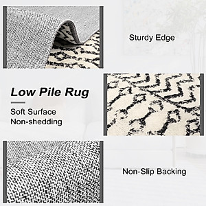 Nailttos 3x5 Rug for Living Room, Ultra Soft Non Slip Moroccan Washable Rug, Distressed Entry Rug Low-Pile Throw Rug Carpet Black Rug for Bedroom Kitchen Living Room Dinning Room