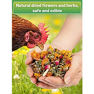 Chicken Nesting Herbs - 14 Oz Natural Nesting Box Herbs in 6 Dried Flower & Herbs for Keeping Coop Fresh and Create Comfortable Environment for Chickens