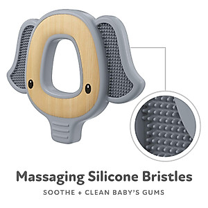 Nuby Natural Wood & Silicone Teether: Elephant, 3M+, Gray