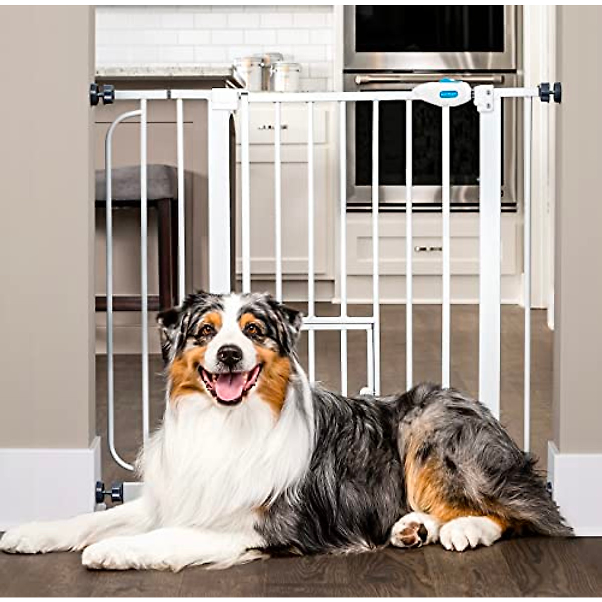 Carlson Extra Wide Walk Through Pet Gate with Small Pet Door, Includes 4-Inch Extension Kit, Pressure Mount Kit and Wall Mount Kit,White