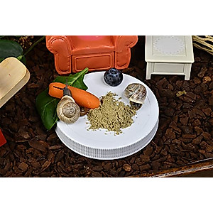 Snout & Shell Vegetable Flavored Pet Land Snail Food - Tasty High-Protein, Calcium Blend for Snails, Easy Addition to Your Garden Snails Terrarium or Snail Habitat