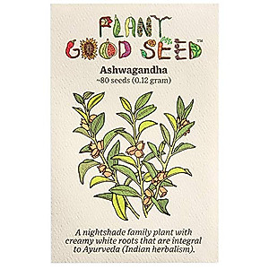 Ashwagandha Root Seeds - Pack of 80, Non-GMO, Open Pollinated, Untreated Herb Seeds for Planting – from USA