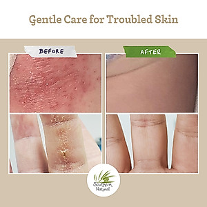 Southern Natural Goat Milk Soap Bar (Lavender 3 Pack) For Dry Sensitive Skin. Natural, Handmade Soap For Men, Women, Kids & Baby. Use On Face & Body