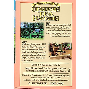 Peachy Peach Pyramid Teabags, 12 Count, 1.05 Ounce (04358)