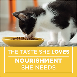 Purina Kitten Chow Nurture Kitten Dry Cat Food, 3.15 LB (Pack of 2)