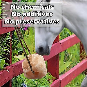 MUYG Himalayan Salt Lick Natural Minerals Block on Rope for Horses,Cattles,Deer,Goat and Other Livestock Long Lasting Original Pink Salt Lick (2.4-3.3 lbs)