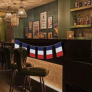 RUIXIA Fabric France Bunting String Flag 5m/16ft Long with 20 Rectangle Flags French Banners Party Decor Patriotic Themed Garland for National Day Wedding Office Home Porch Decoration