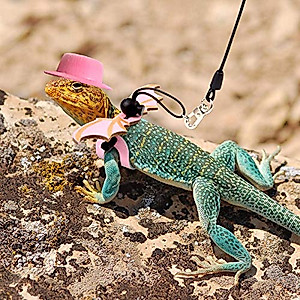 Valentine's Day Lizard Leash Harness Hat Bowtie Set - Bearded Dragon Valentine's Day Hat+Bowtie+3 Pack Reptile Harness Leash for Bearded Dragon Iguana Amphibians Small Animal Clothes Outfit (Pink)